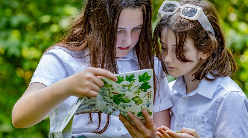 Key Stage 2 Resources - Cambridge University Botanic Garden