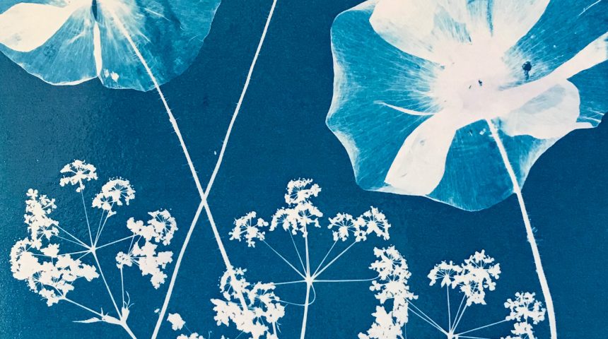 Botanical blueprints Courses - Cambridge University Botanic Garden