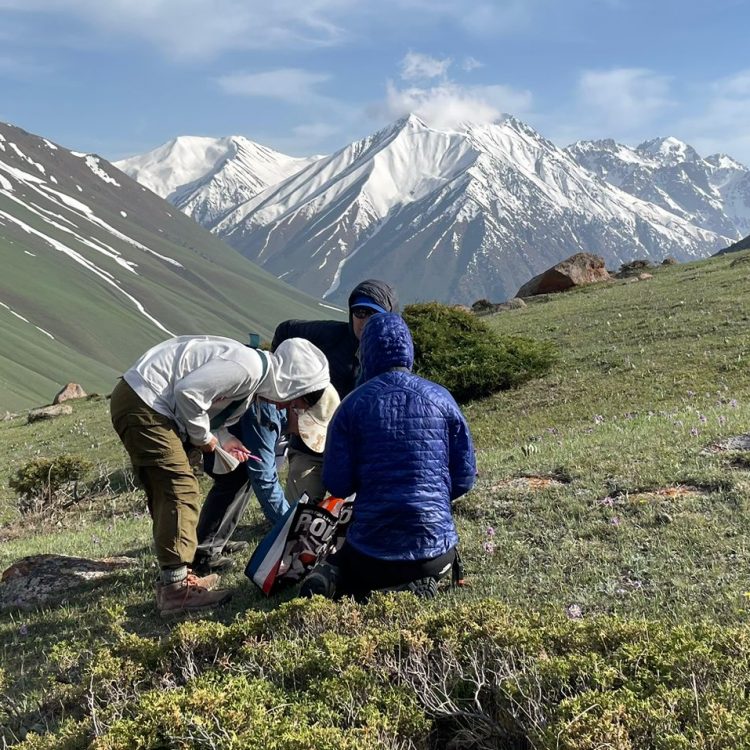 Collecting Expeditions - Cambridge Botanic Garden