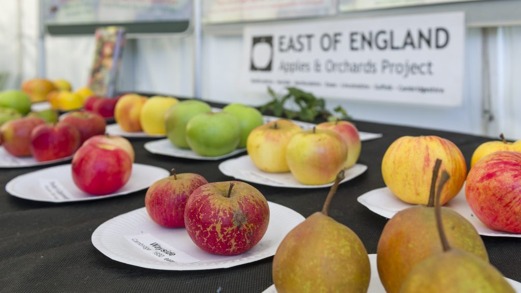 Apple Day 2024 - Cambridge University Botanic Garden