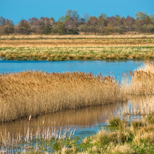 Events Archive - Cambridge University Botanic Garden