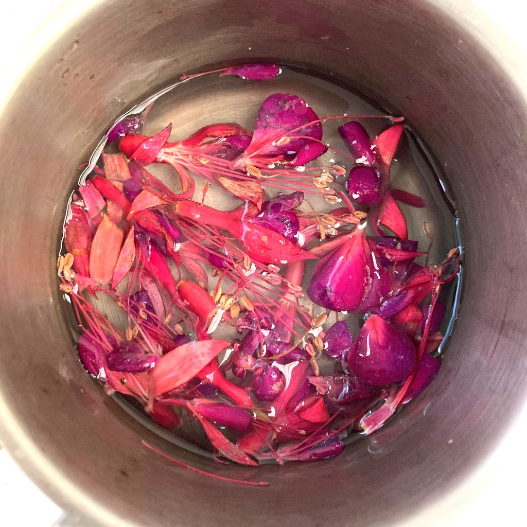 Dyes from Plants - Cambridge University Botanic Garden