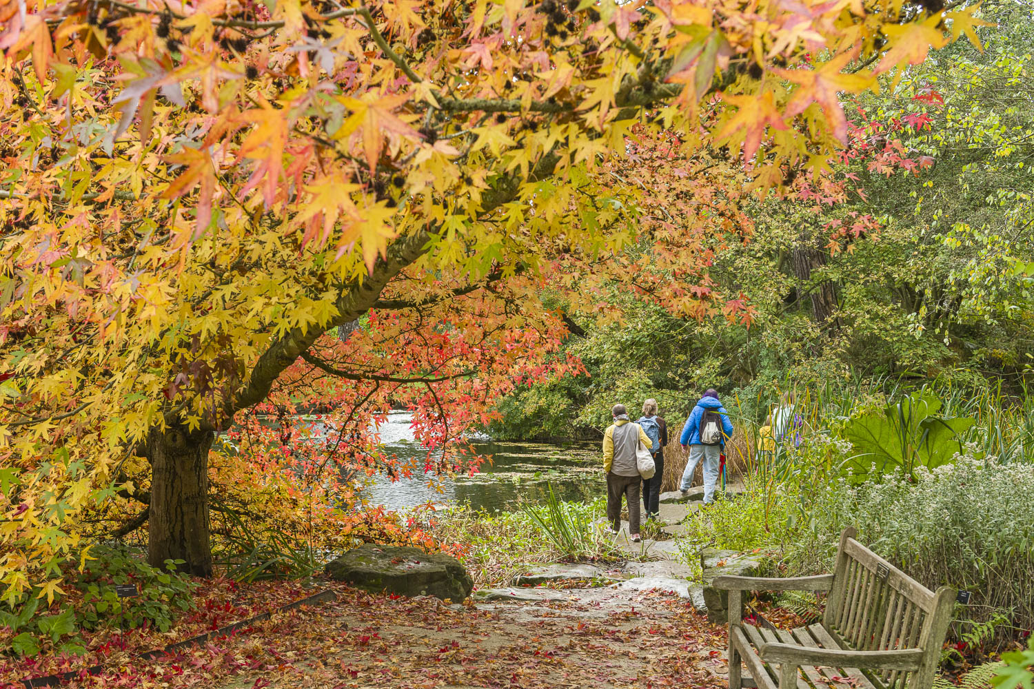 Welcome to Cambridge University Botanic Garden - Find Out More