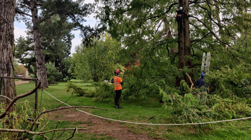 Tree Collections Management - Cambridge University Botanic Garden