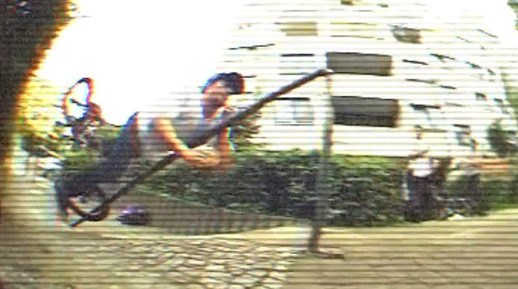 Die neuen Einsteigerräder von SIBMX sind da - freed...