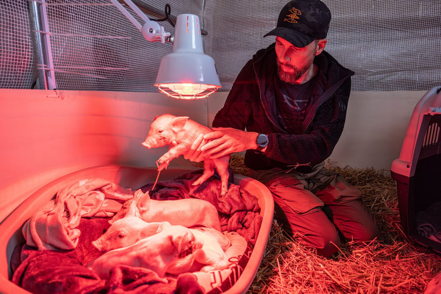 Robert Marc Lehmann: „Ich schenke Tieren heute Fre...