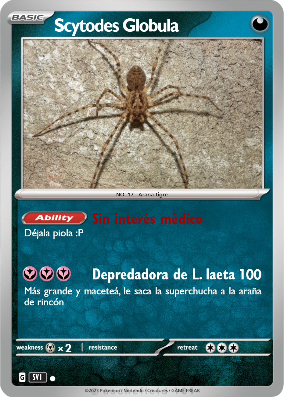 Scytodes Globula - Benjatroll007 | Pokécardmaker.net