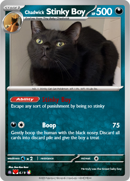 Stinky Boy - Cardsfan706 | Pokécardmaker.net