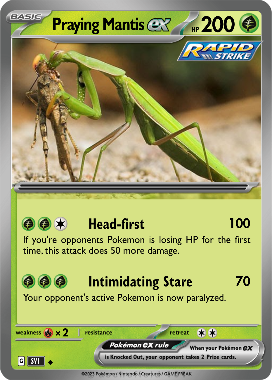 Praying Mantis - CatLover72 | Pokécardmaker.net