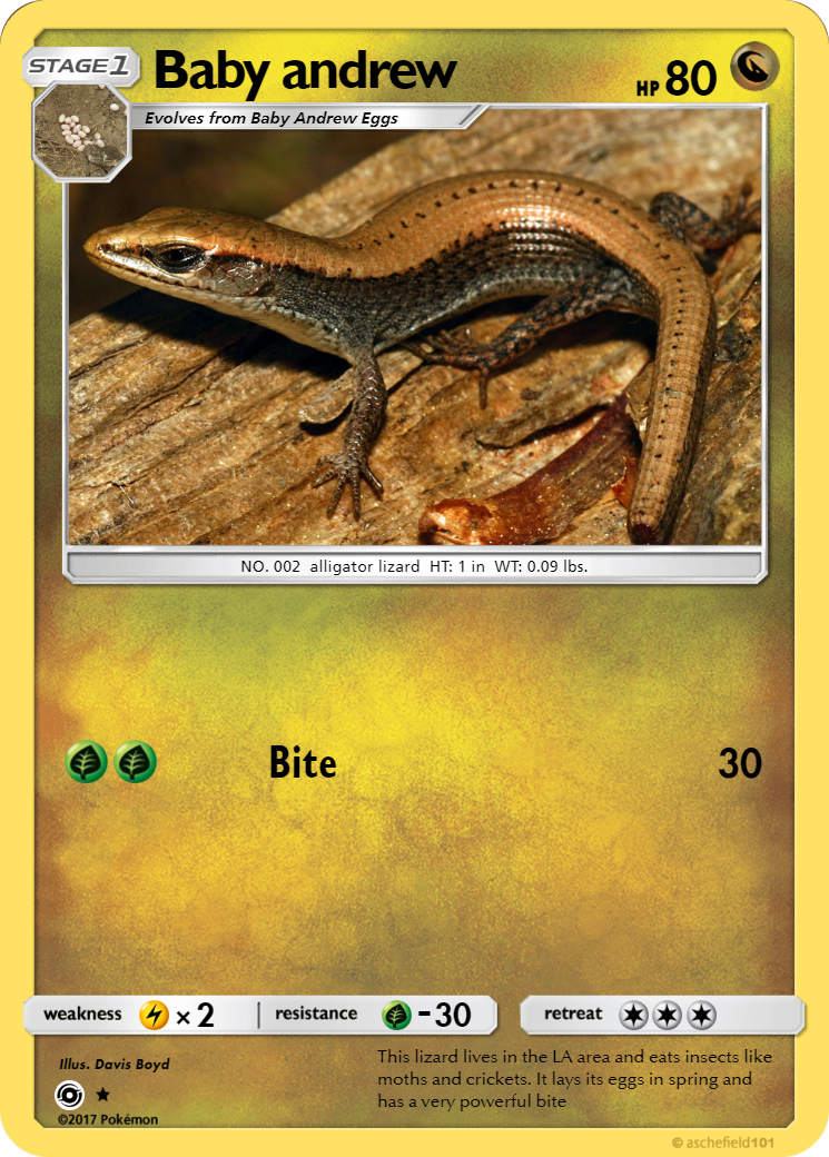 Baby andrew - DDB119 | Pokécardmaker.net