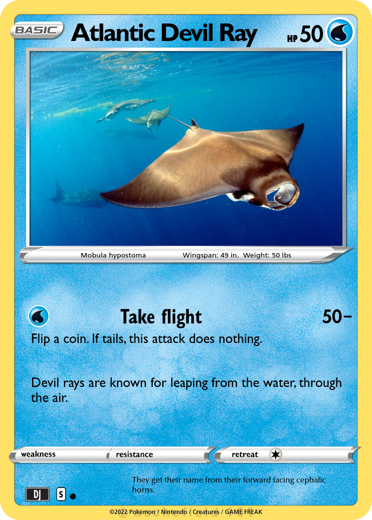Atlantic Devil Ray - Dcj012 | Pokécardmaker.net