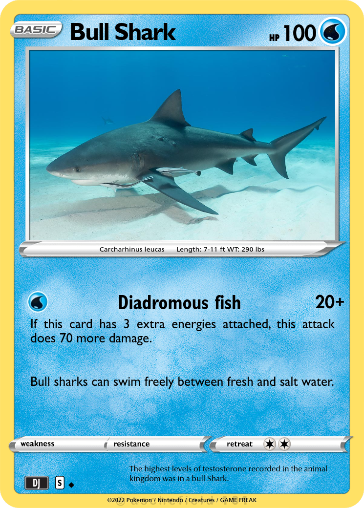 Bull Shark - Dcj012 | Pokécardmaker.net