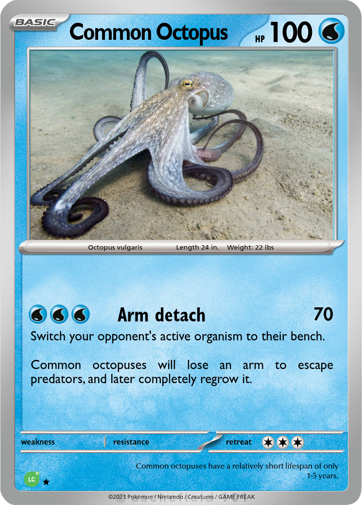 Common Octopus - Dcj012 | Pokécardmaker.net