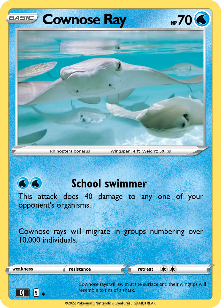 Cownose Ray - Dcj012 | Pokécardmaker.net
