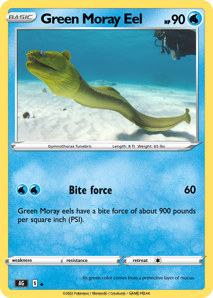 Green Moray Eel - Dcj012 | Pokécardmaker.net
