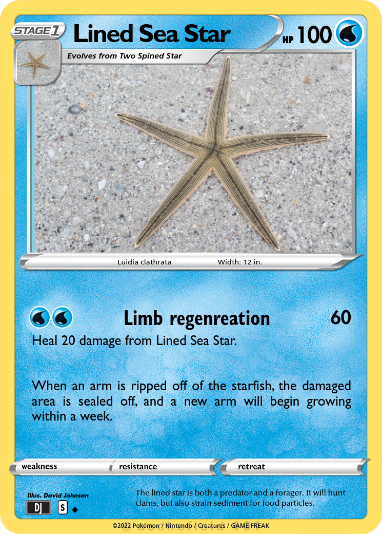 Lined Sea Star - Dcj012 | Pokécardmaker.net