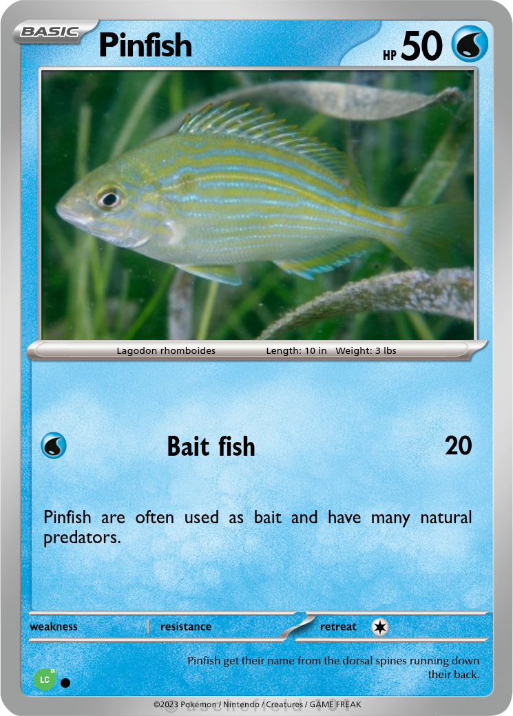 Pinfish - Dcj012 | Pokécardmaker.net