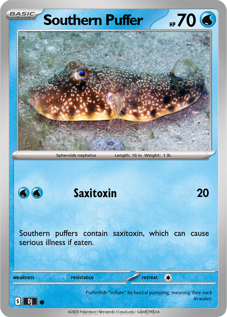 Southern Puffer - Dcj012 | Pokécardmaker.net