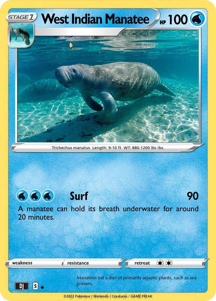 West Indian Manatee - Dcj012 | Pokécardmaker.net