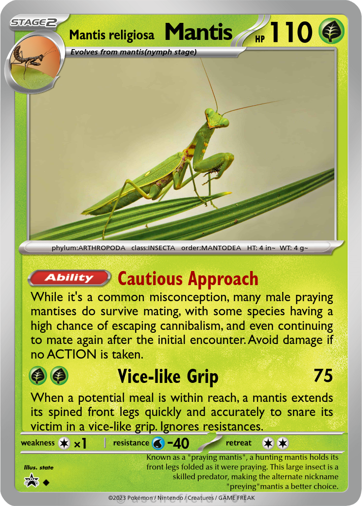 Mantis - Ento | Pokécardmaker.net