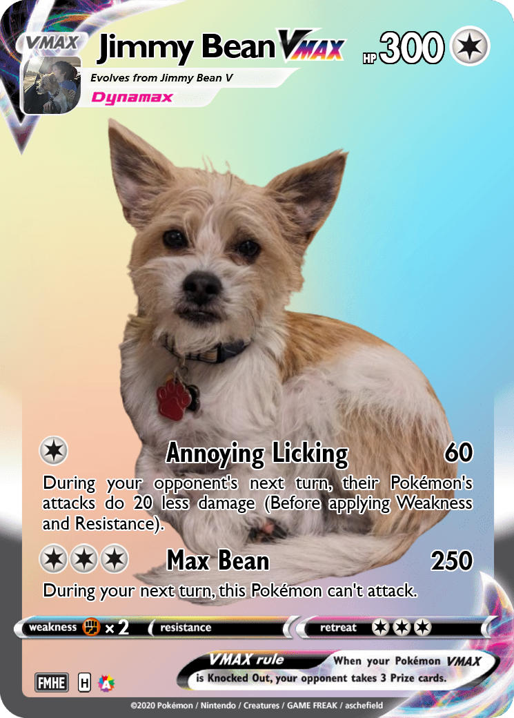 Jimmy Bean - FlareMcHair | Pokécardmaker.net