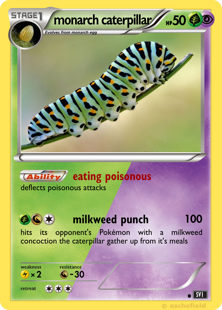 monarch caterpillar - MrsL2ndgrade | Pokécardmaker.net