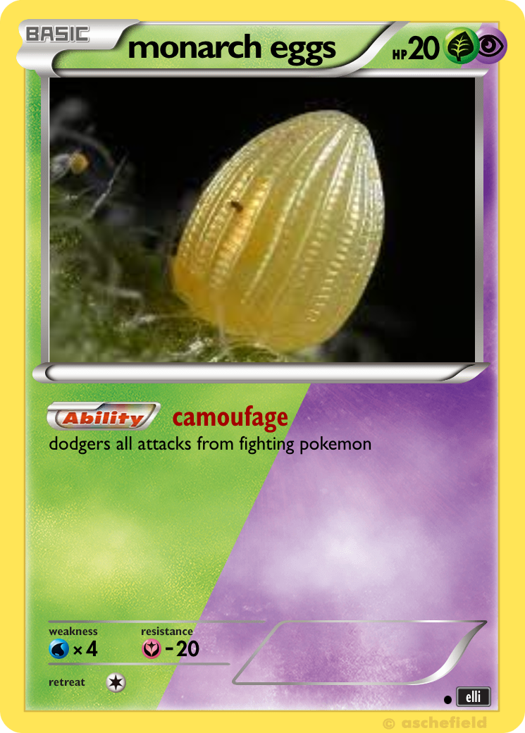 monarch eggs - MrsL2ndgrade | Pokécardmaker.net