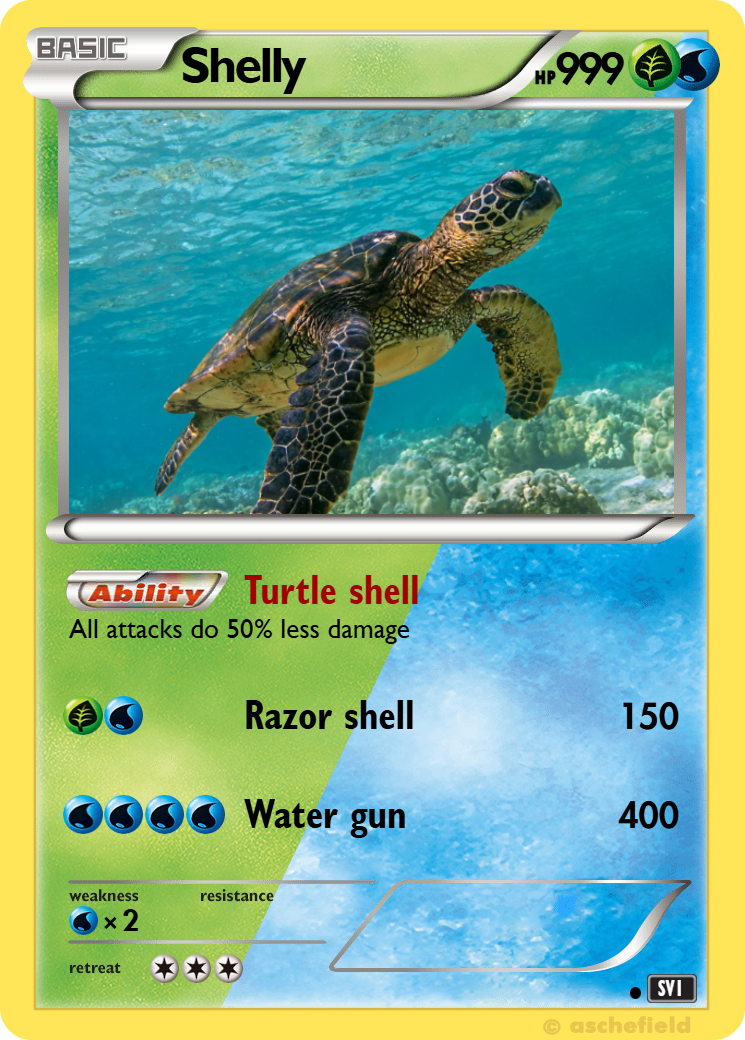 Shelly - Poke-dude | Pokécardmaker.net
