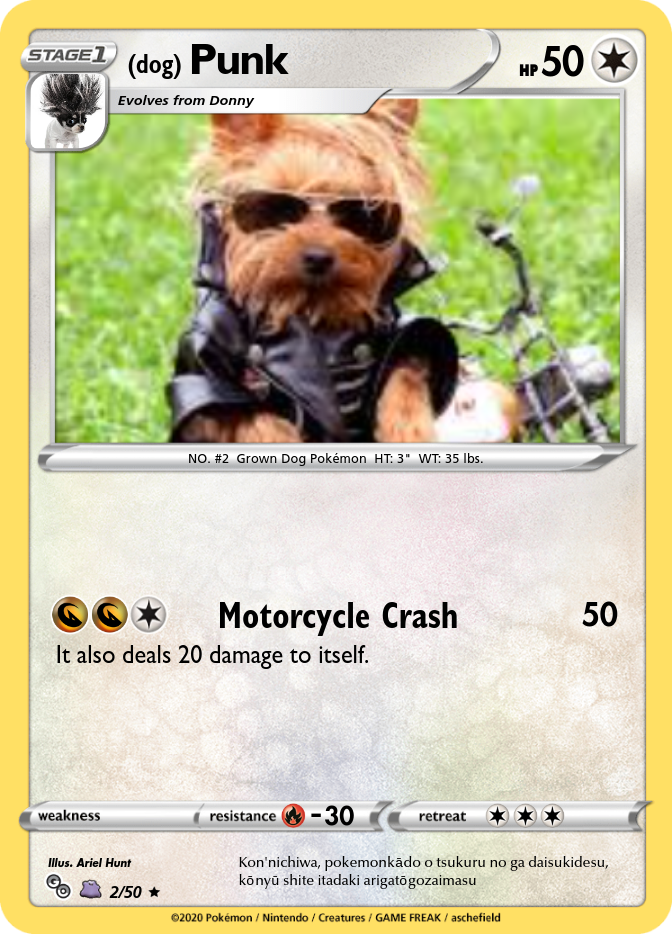 Punk - Pokemon-Lover | Pokécardmaker.net