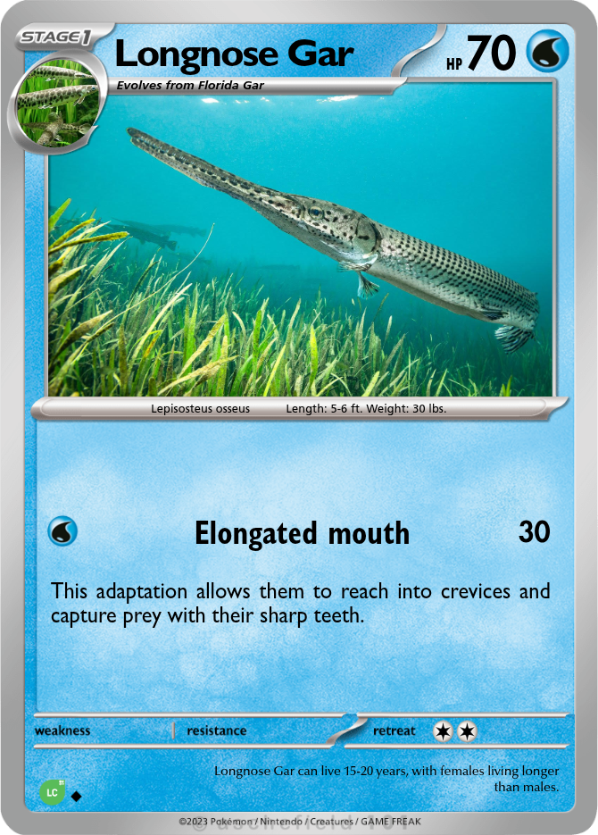 Longnose Gar - PokemonButScience | Pokécardmaker.net