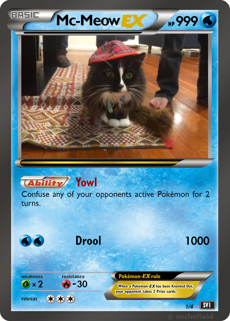 Mc-Meow - PoseidonSJG09 | Pokécardmaker.net