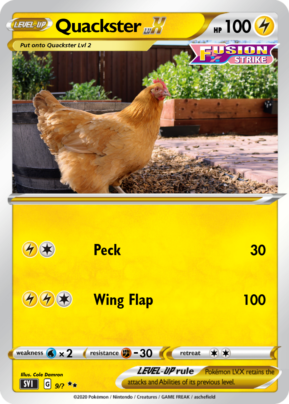 Quackster - QuacksterTheChicken | Pokécardmaker.net
