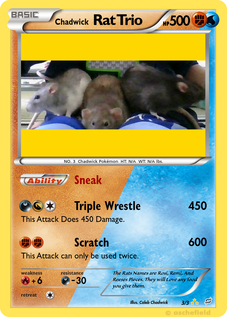 Rat Trio - RemiRat11 | Pokécardmaker.net