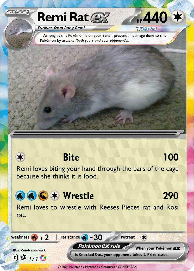 Remi Rat - RemiRat11 | Pokécardmaker.net