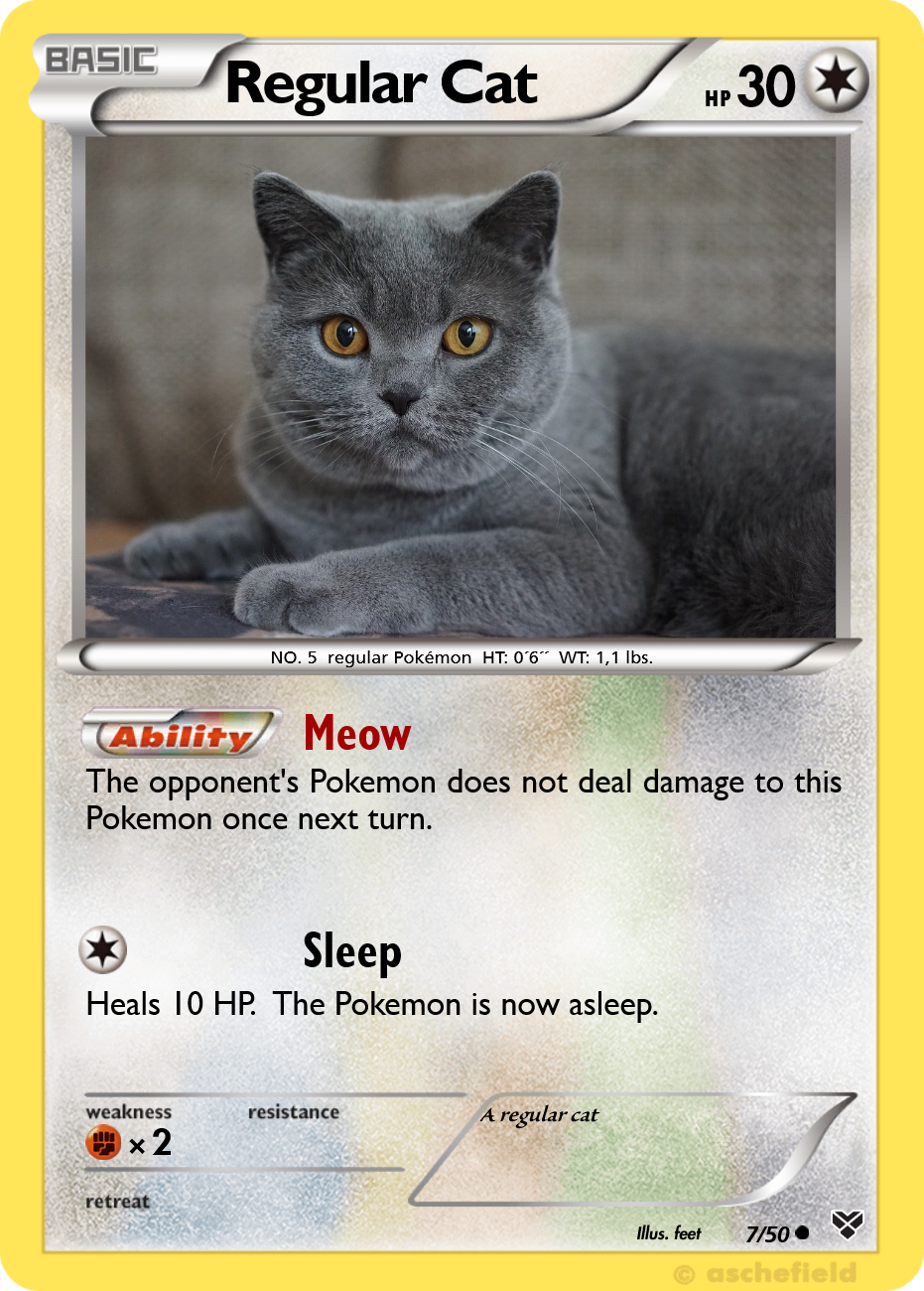 Regular Cat - SasaBrgi | Pokécardmaker.net