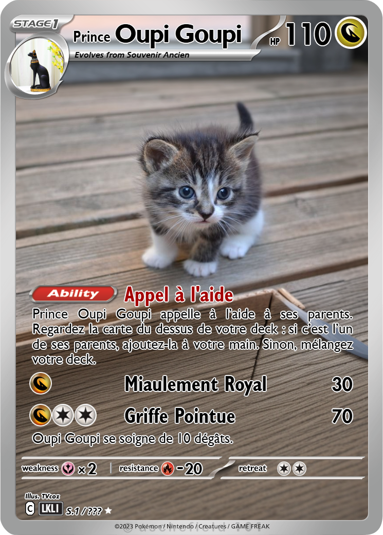 Oupi Goupi - TVcoz | Pokécardmaker.net
