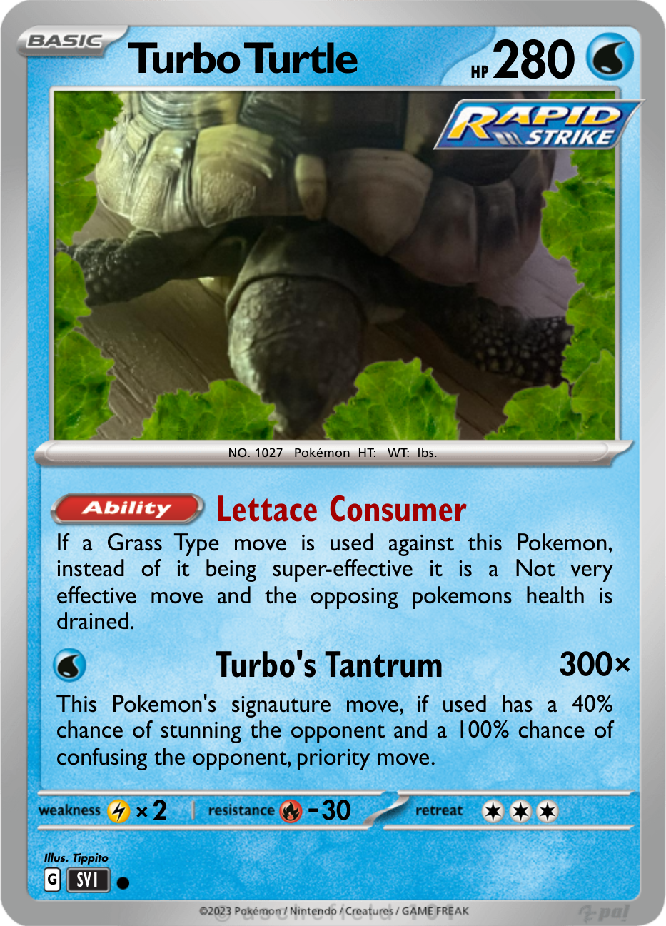 Turbo Turtle - Tippito | Pokécardmaker.net