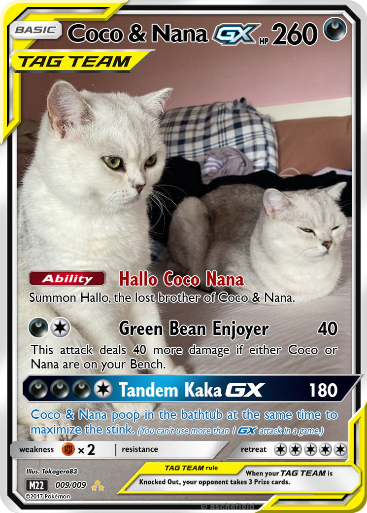 Coco & Nana - Tokagero83 | Pokécardmaker.net