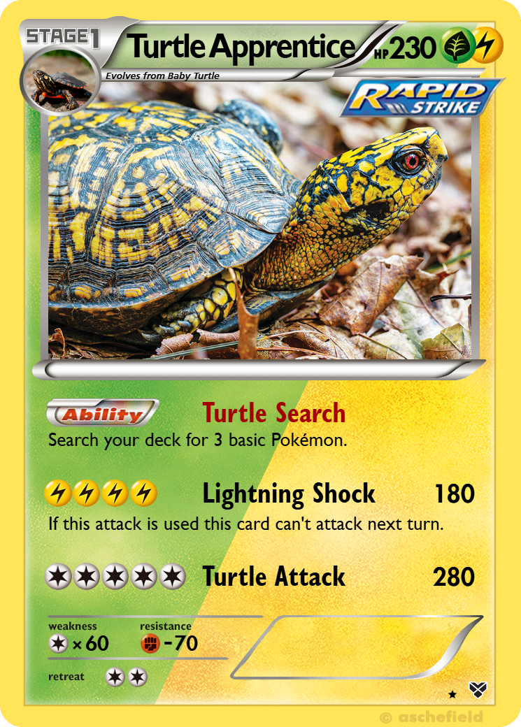 Turtle Apprentice - TurtleMaster191411 | Pokécardmaker.net