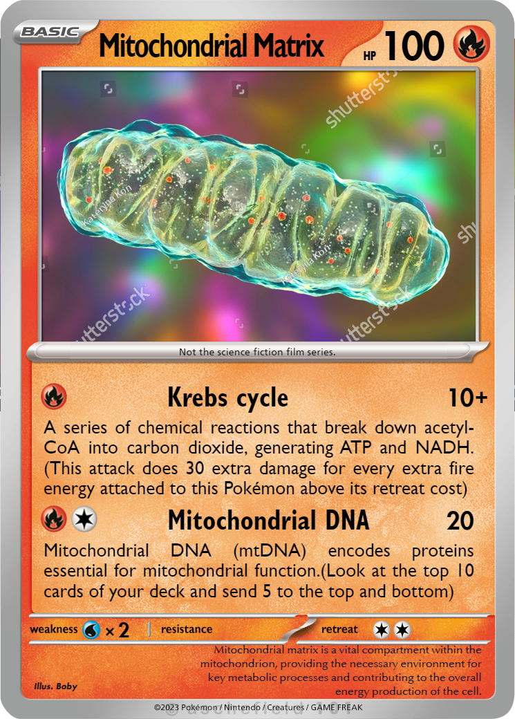 Mitochondrial Matrix - UnknownC | Pokécardmaker.net