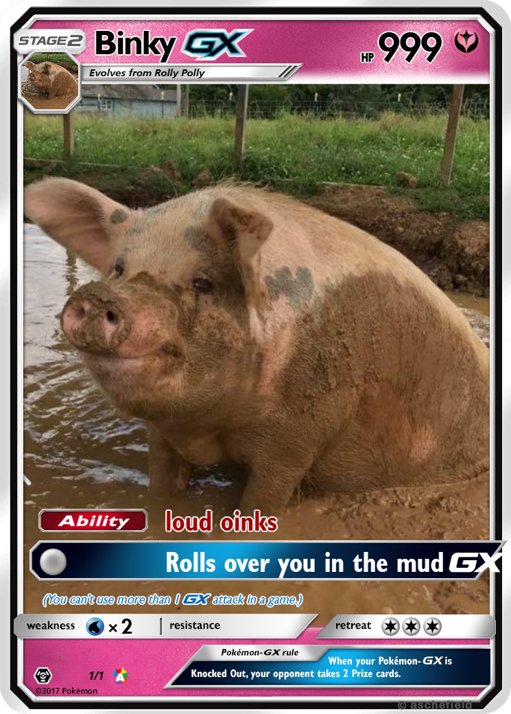 Binky - alexanderadkins5 | Pokécardmaker.net