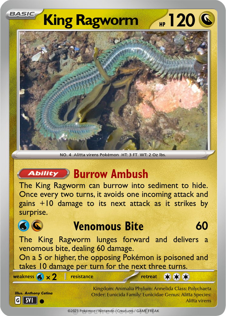 King Ragworm - cetina38 | Pokécardmaker.net