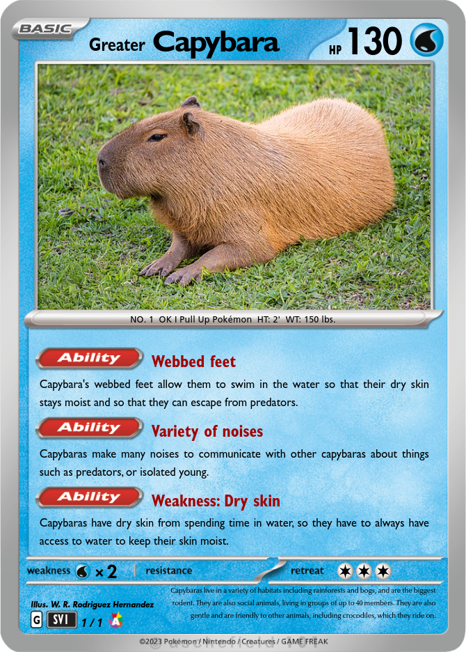 Capybara - lololimagineating | Pokécardmaker.net