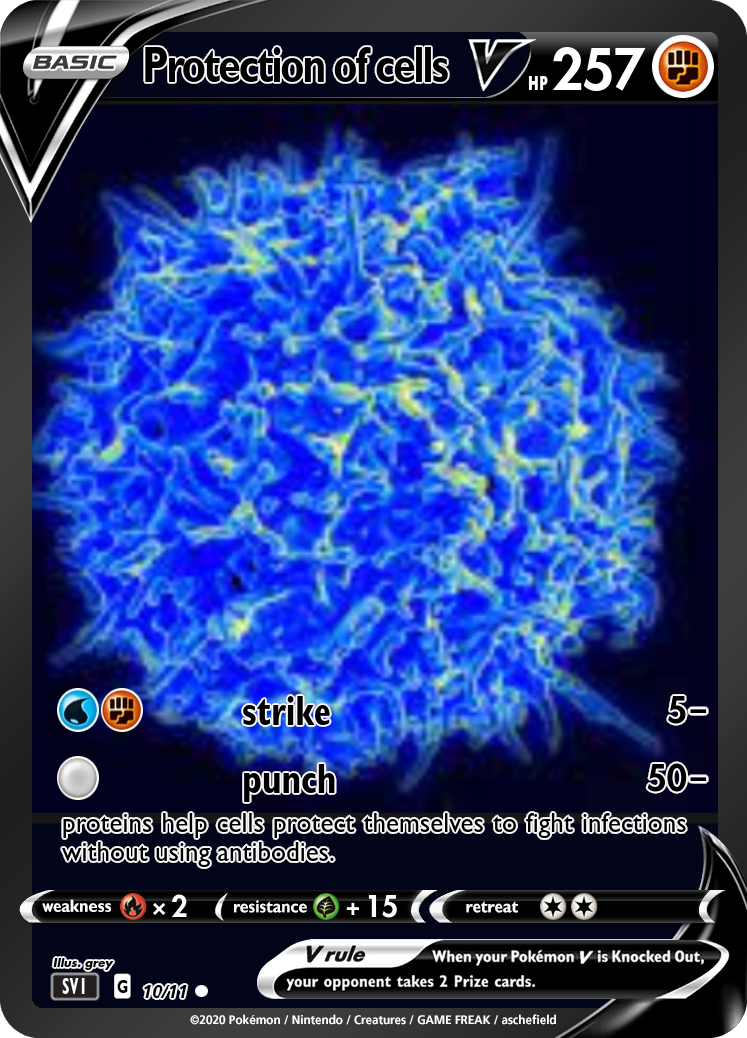 Protection of cells - nnn | Pokécardmaker.net