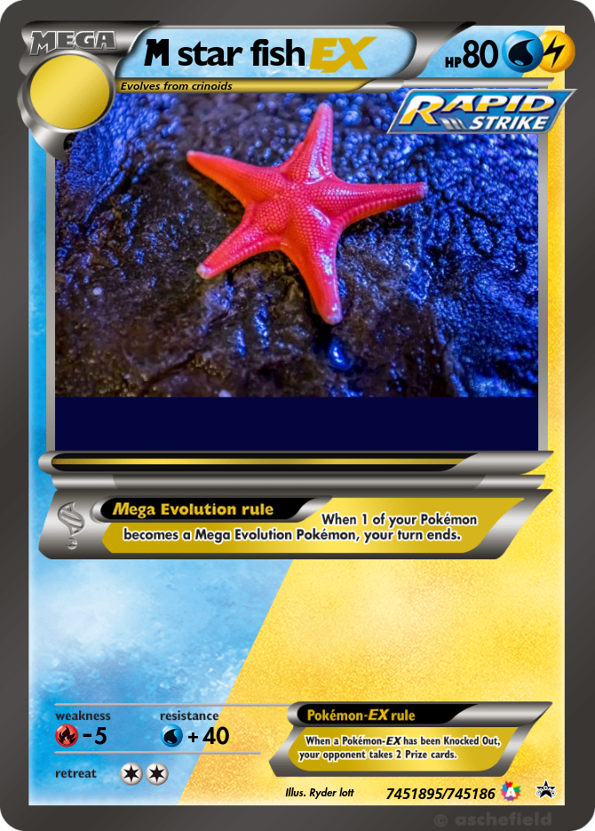 star fish - ruder_rott | Pokécardmaker.net