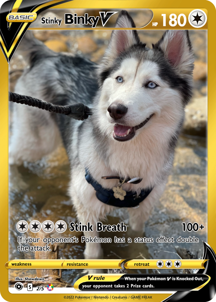 Binky - shizzletiger | Pokécardmaker.net