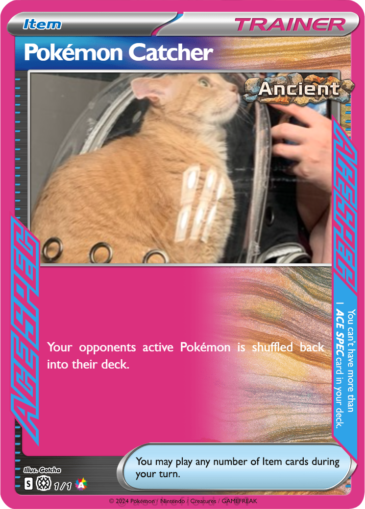 Pokémon Catcher - shizzletiger | Pokécardmaker.net