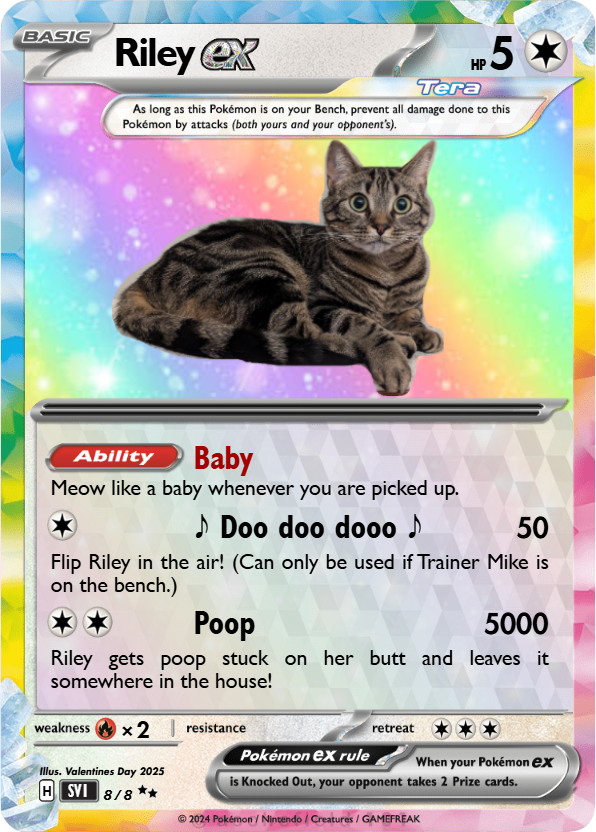 Riley - shoefight | Pokécardmaker.net