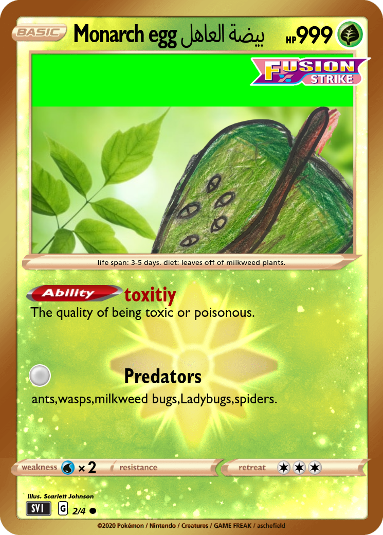 Monarch egg بيضة العاهل - sjbutterfly | Pokécardmaker.net