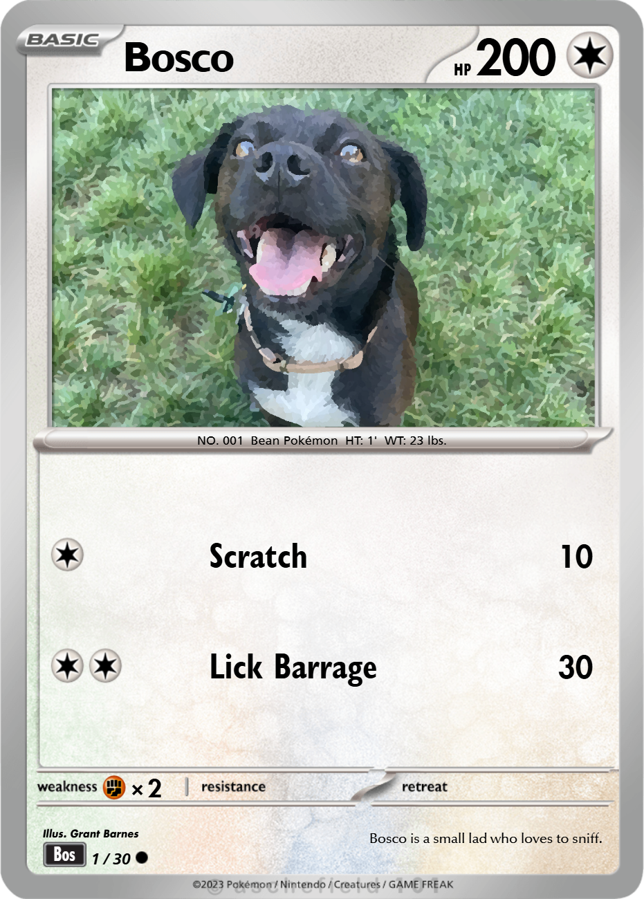Bosco - sus_lizard | Pokécardmaker.net
